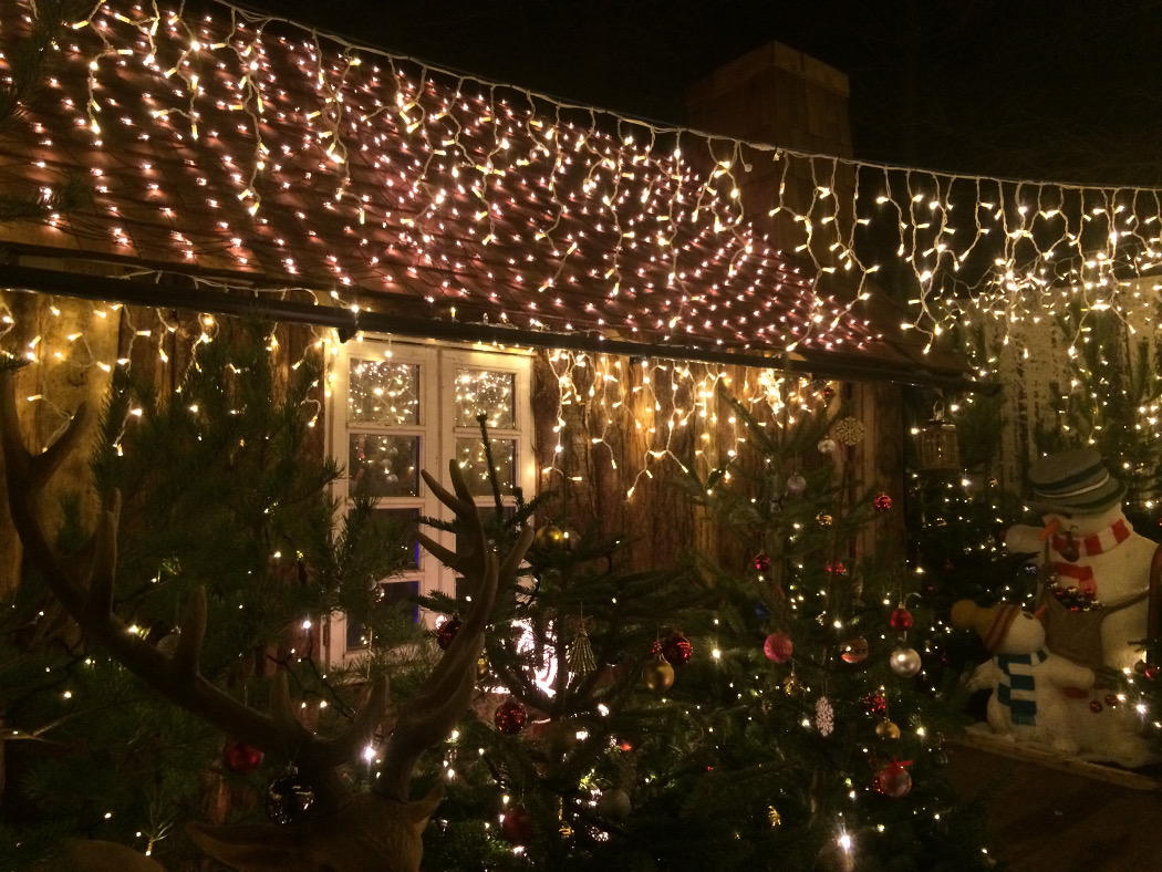 Santa's Grotto - Charity Christmas Event - Mark Richards Education